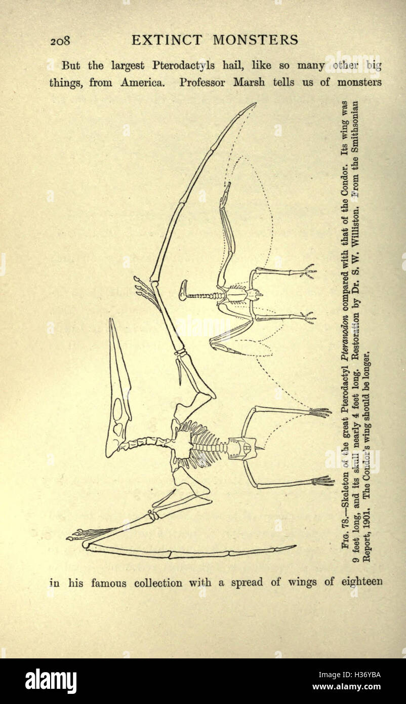 This work explores extinct creatures, including prehistoric monsters ...