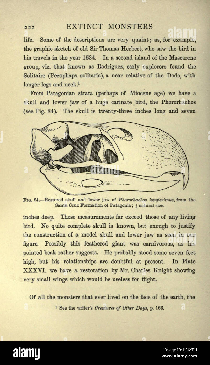 This work discusses various extinct creatures, focusing on prehistoric ...