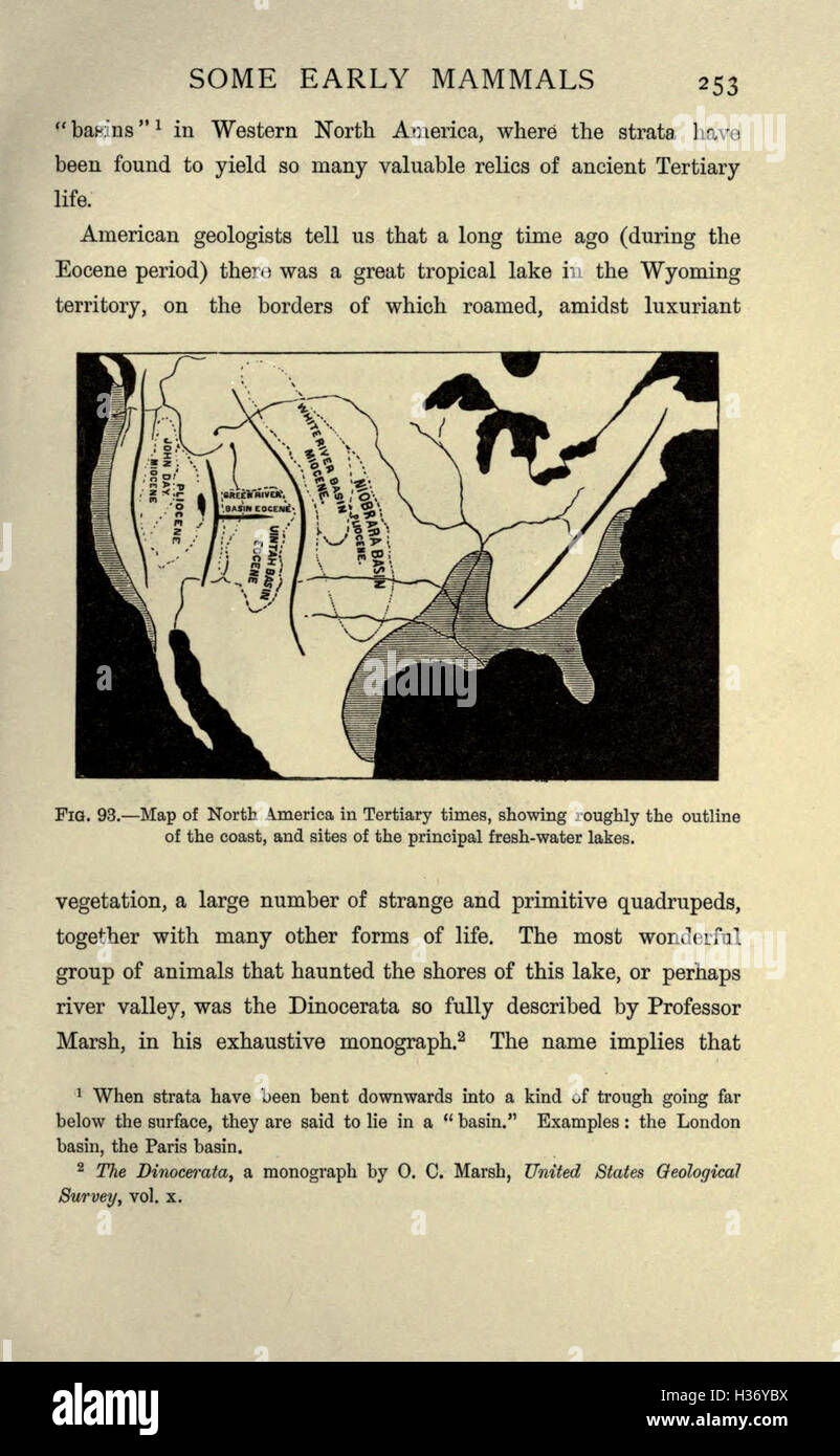 This text delves into the study of extinct species, focusing on large ...