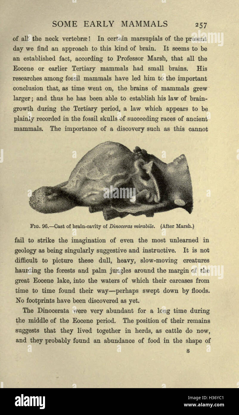 A study of extinct creatures from past geological eras, including ...