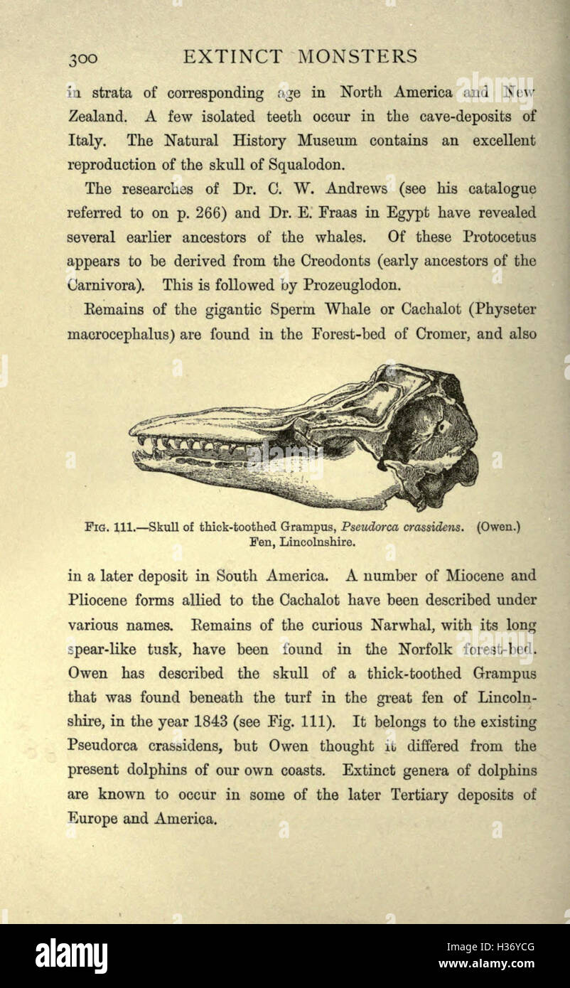This work explores extinct species from prehistoric times, detailing ...