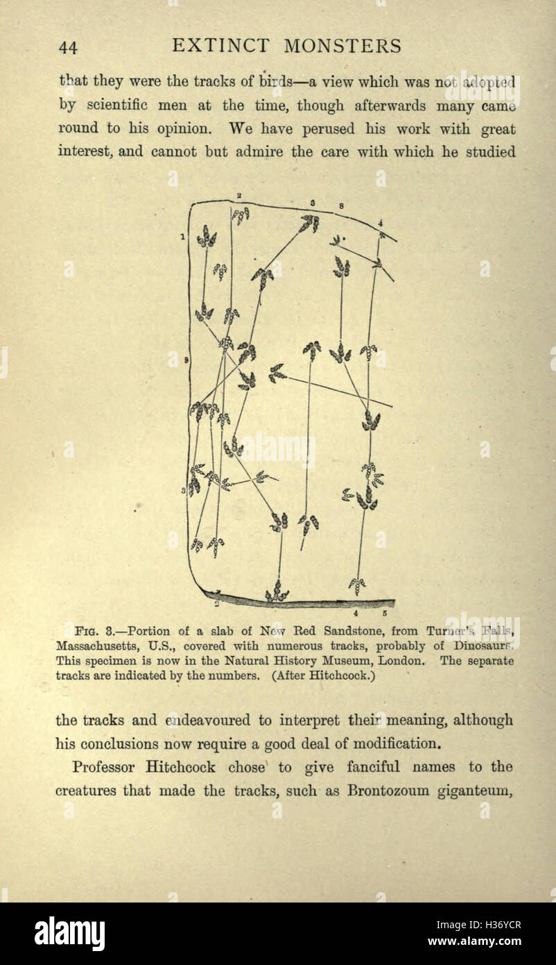 This work explores various extinct creatures, including monsters and ...