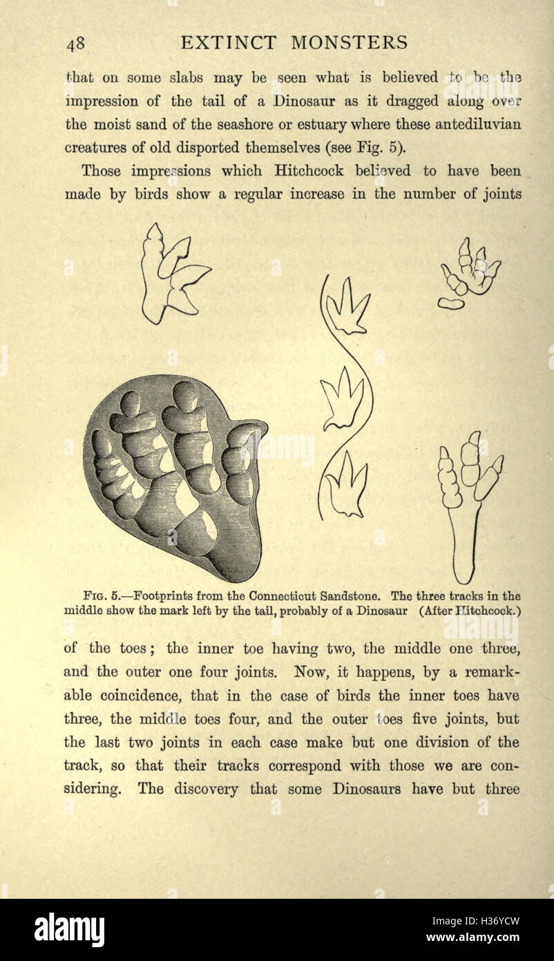 This work explores extinct species from prehistoric times, focusing on ...