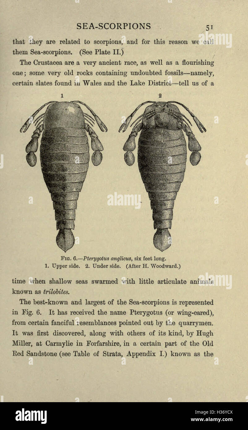 This text explores the extinct creatures from prehistoric times ...