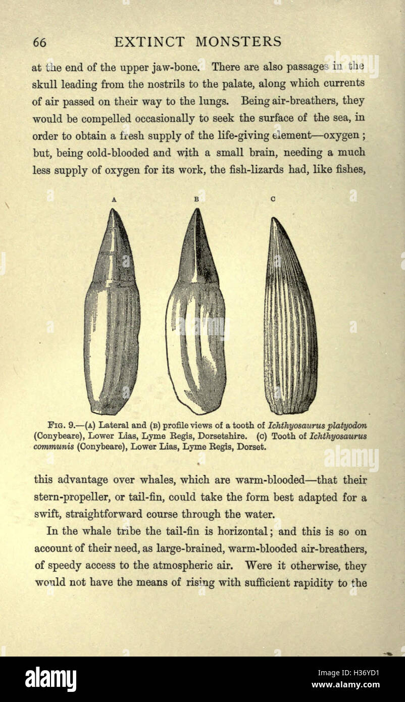 This text explores various extinct species, focusing on the prehistoric ...