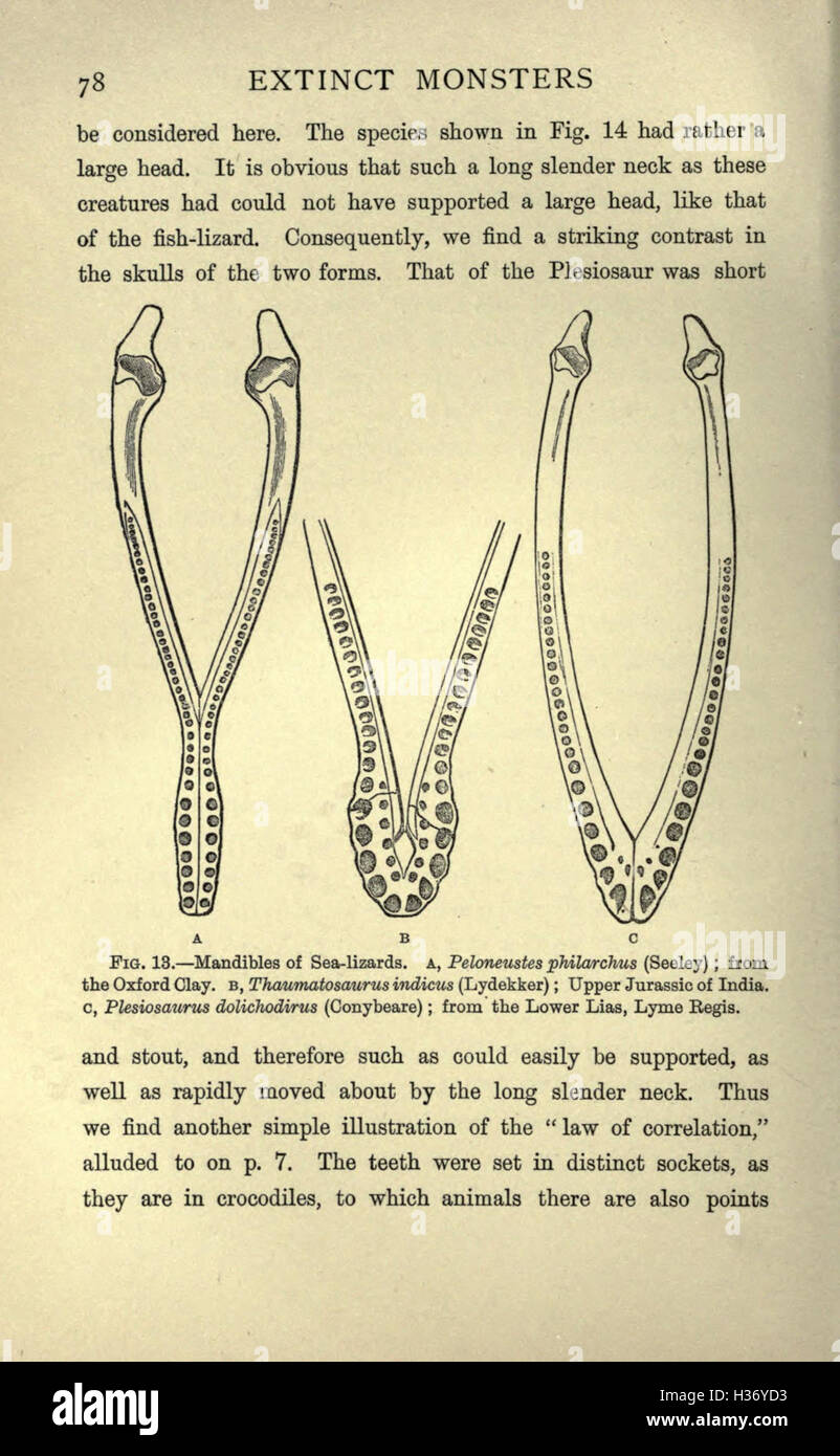 This page discusses extinct creatures, focusing on prehistoric animals ...