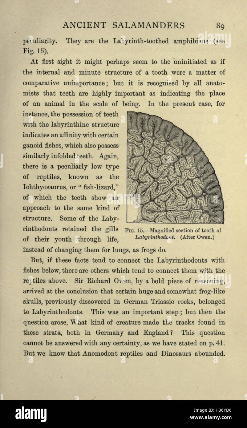 This page discusses various extinct creatures and mythical monsters ...