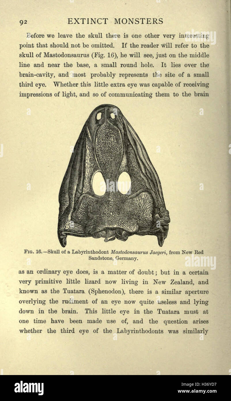 This work explores the fascinating world of extinct creatures, from ...