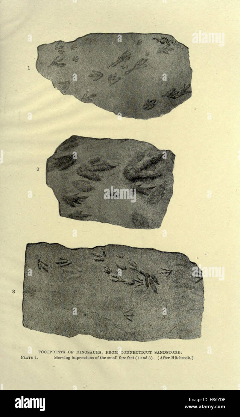 This title explores extinct creatures from prehistoric times ...