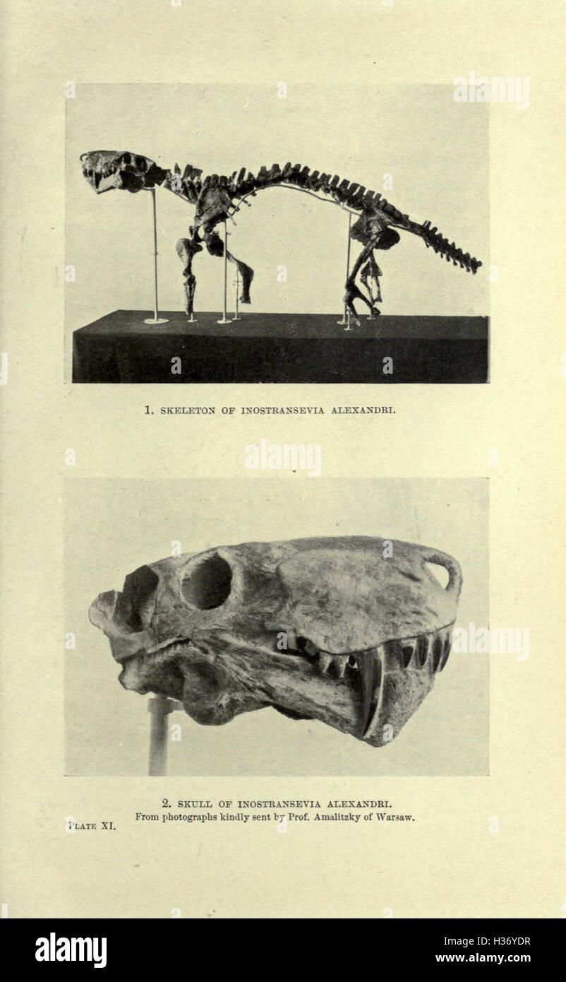This work discusses the extinct ‘monsters’ and other prehistoric ...