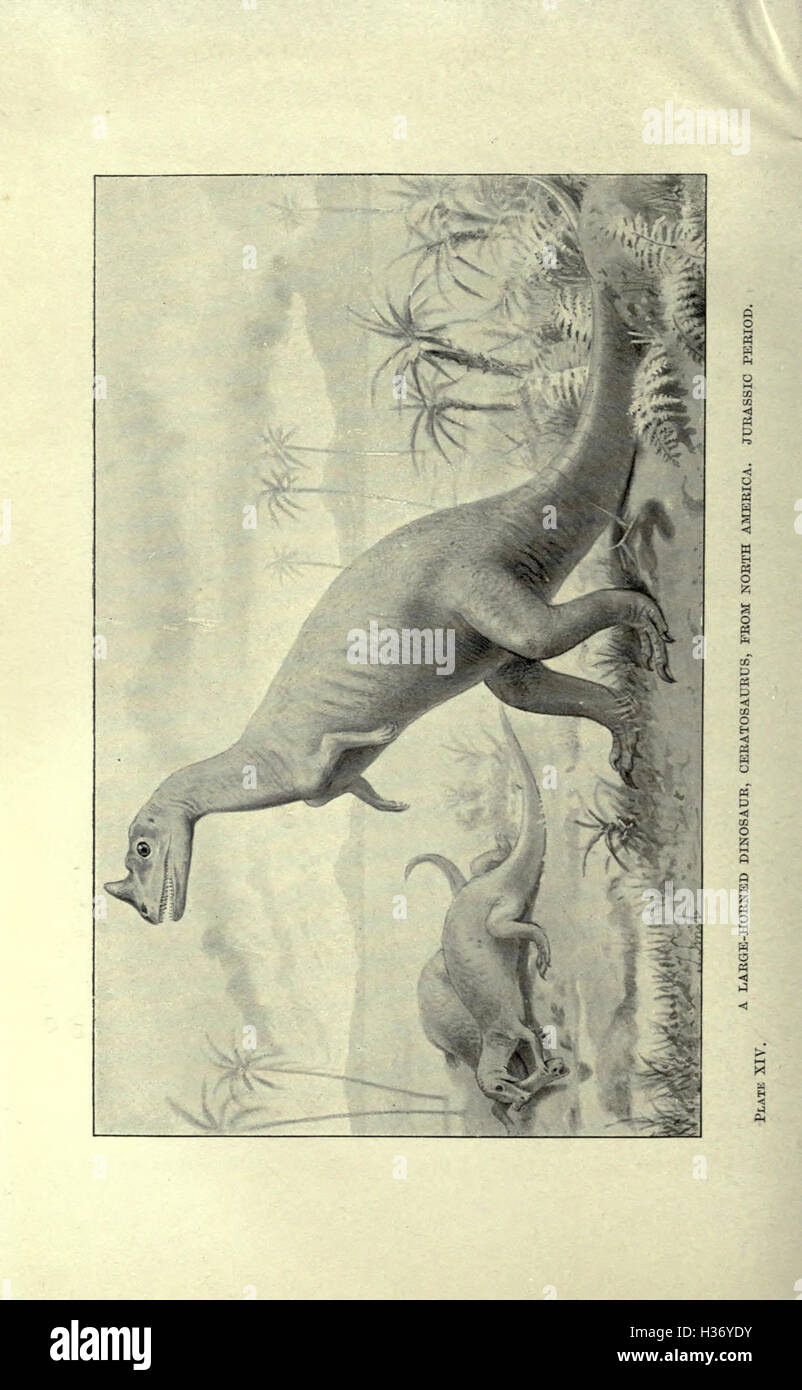 This book explores the prehistoric creatures and extinct monsters that ...