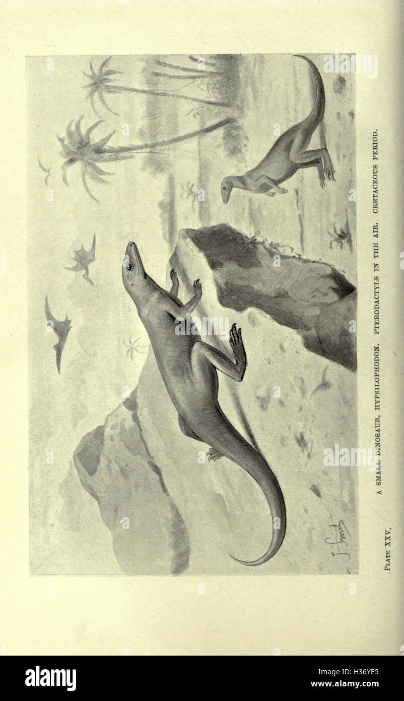 This work details extinct animals and creatures from various historical ...