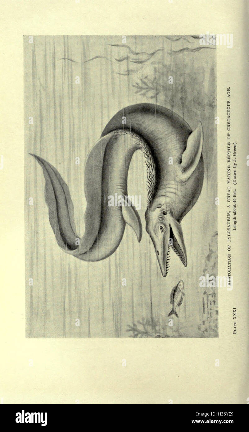 This work explores the extinct species and creatures that once ...