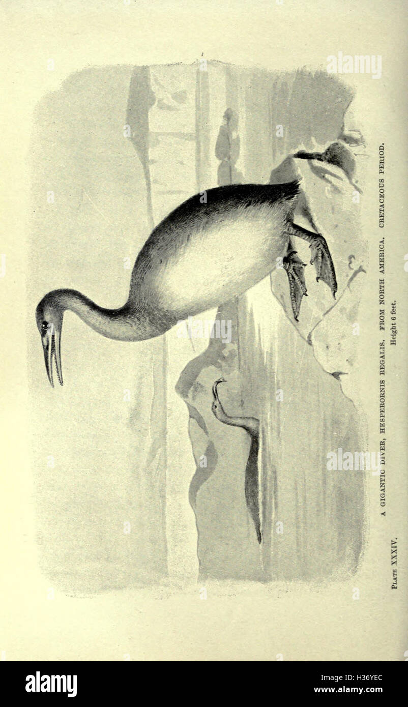 This work explores the history of extinct creatures, including ...