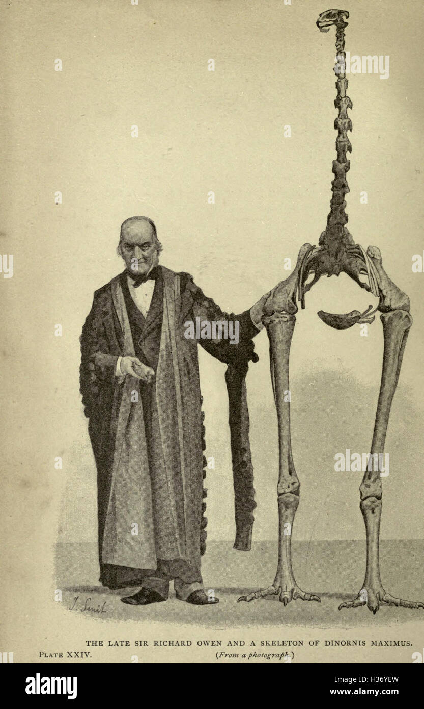 Extinct monsters map hi-res stock photography and images - Alamy