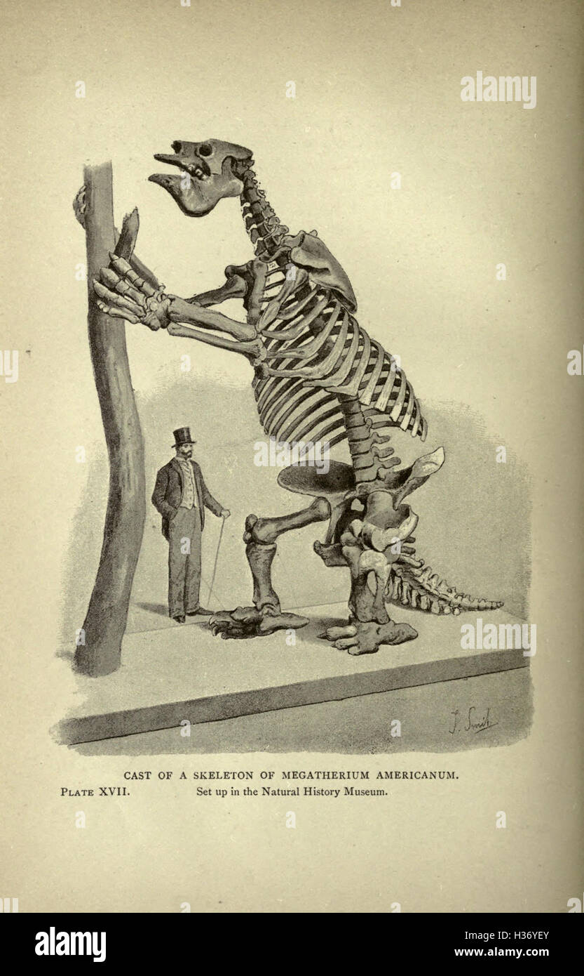 Extinct monsters map hi-res stock photography and images - Alamy