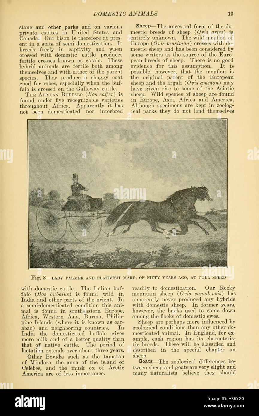 The Farmer's Cyclopedia of Live Stock is a comprehensive guide ...