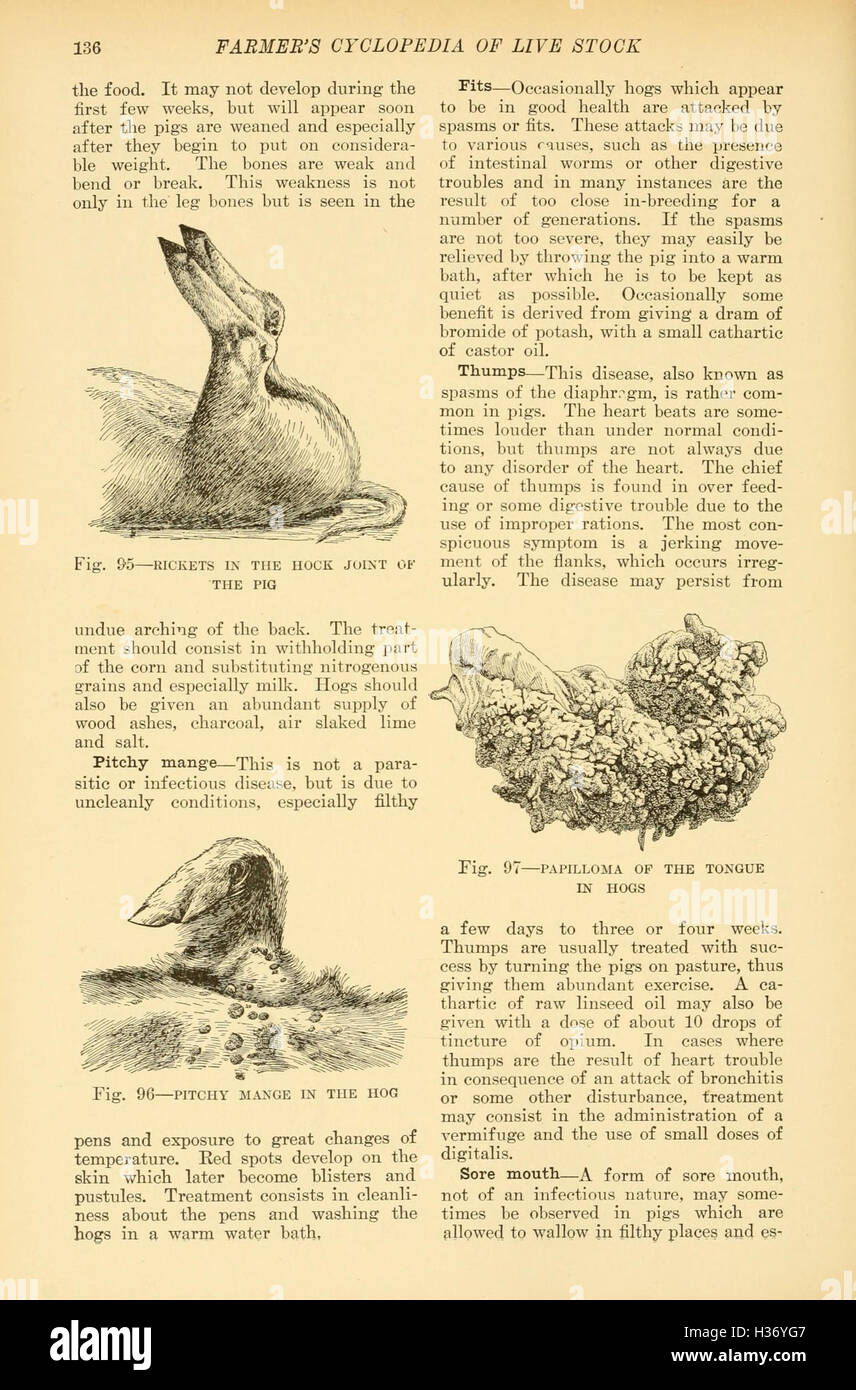 This comprehensive guide provides detailed information on livestock ...