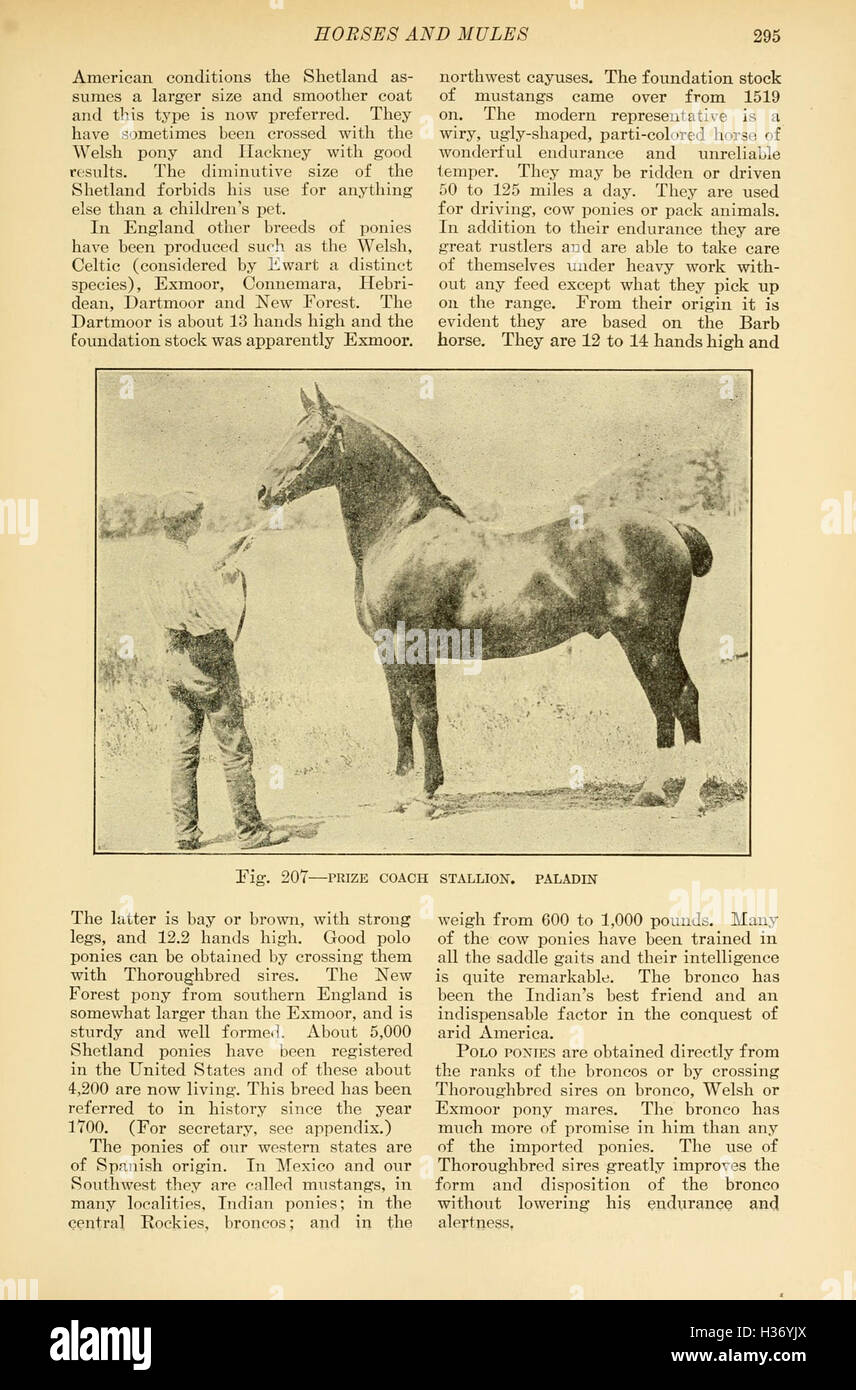 This comprehensive guide covers various aspects of livestock farming ...