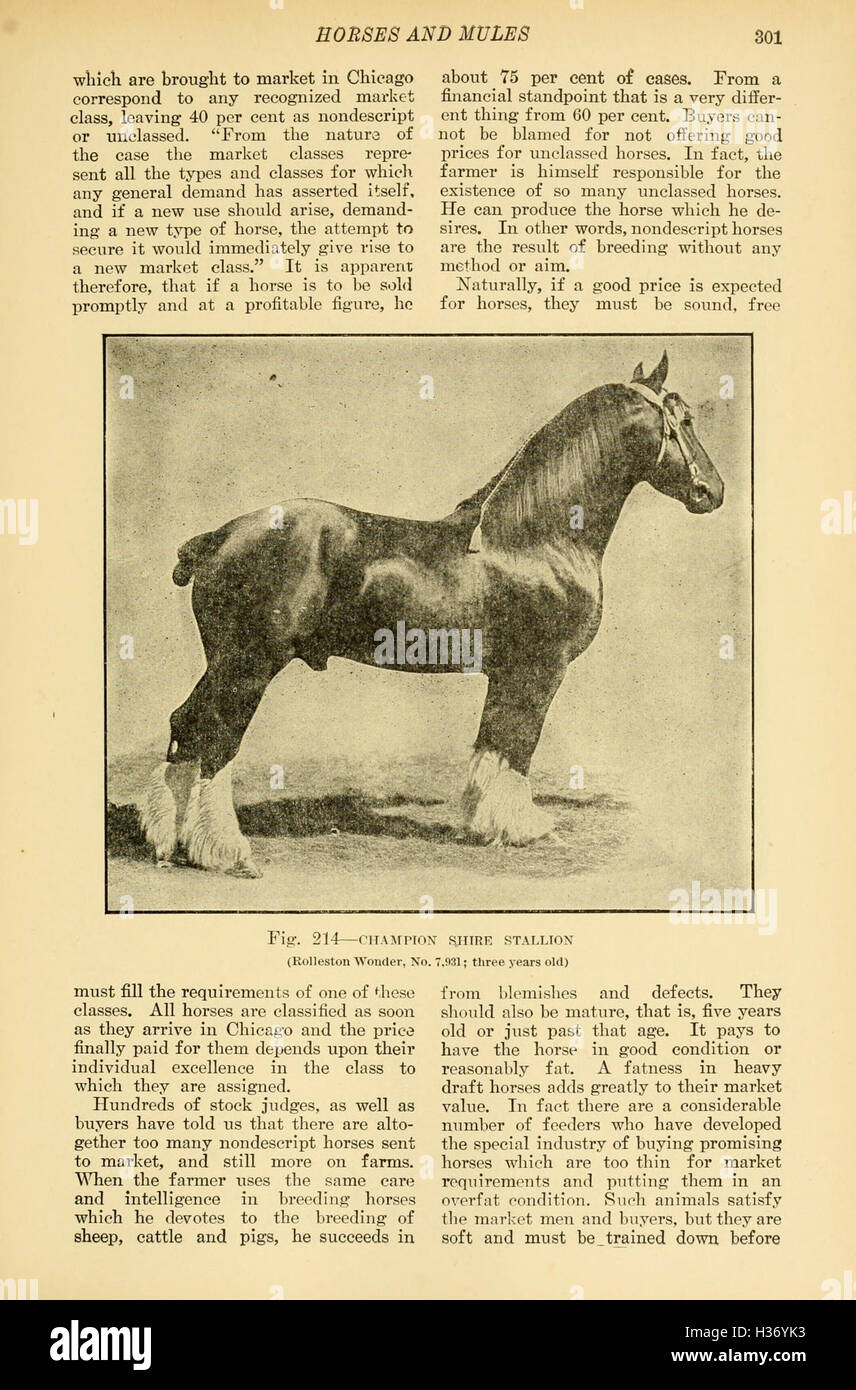 A comprehensive guide to livestock farming, covering various species ...