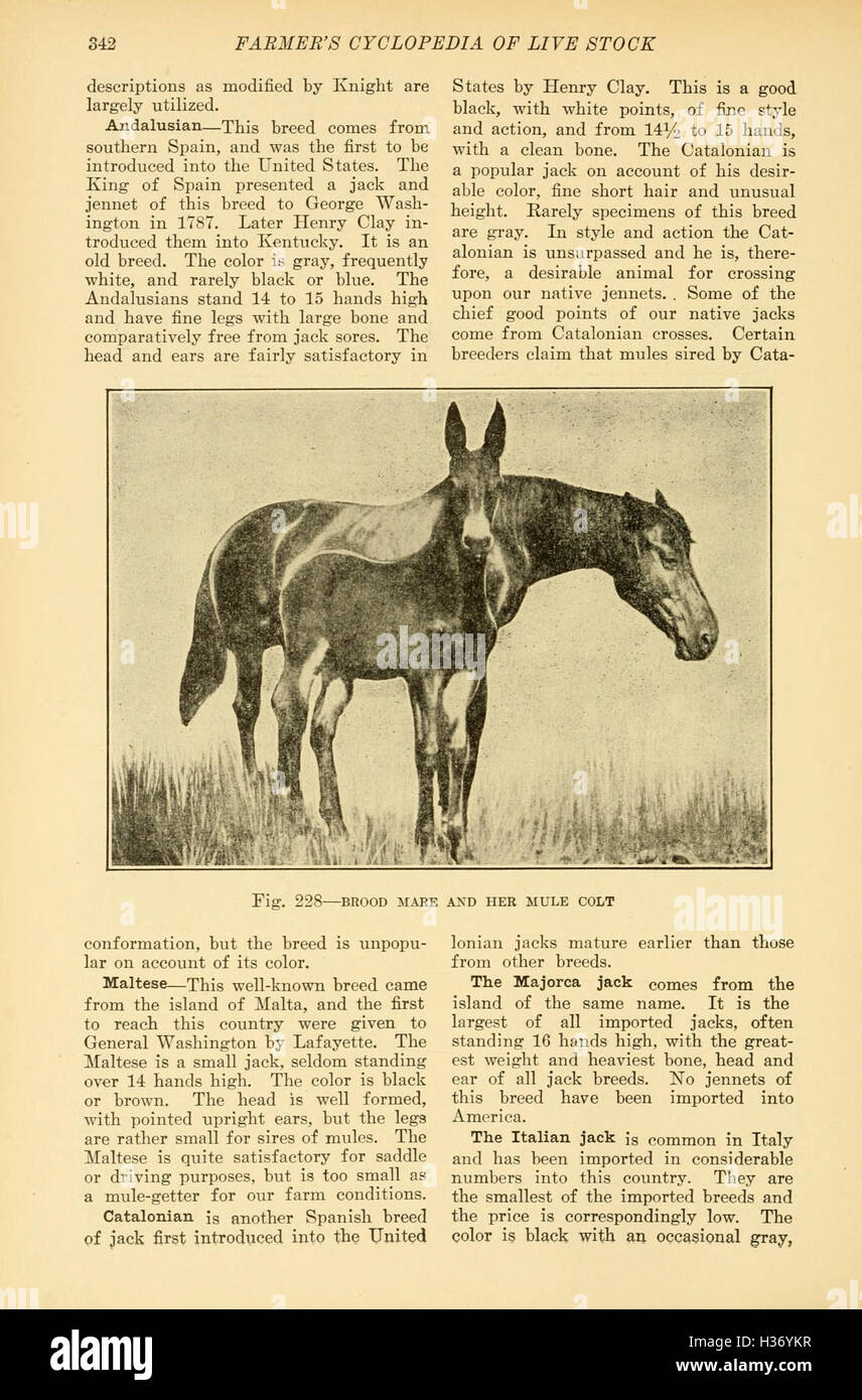 This work serves as a comprehensive guide to livestock management ...