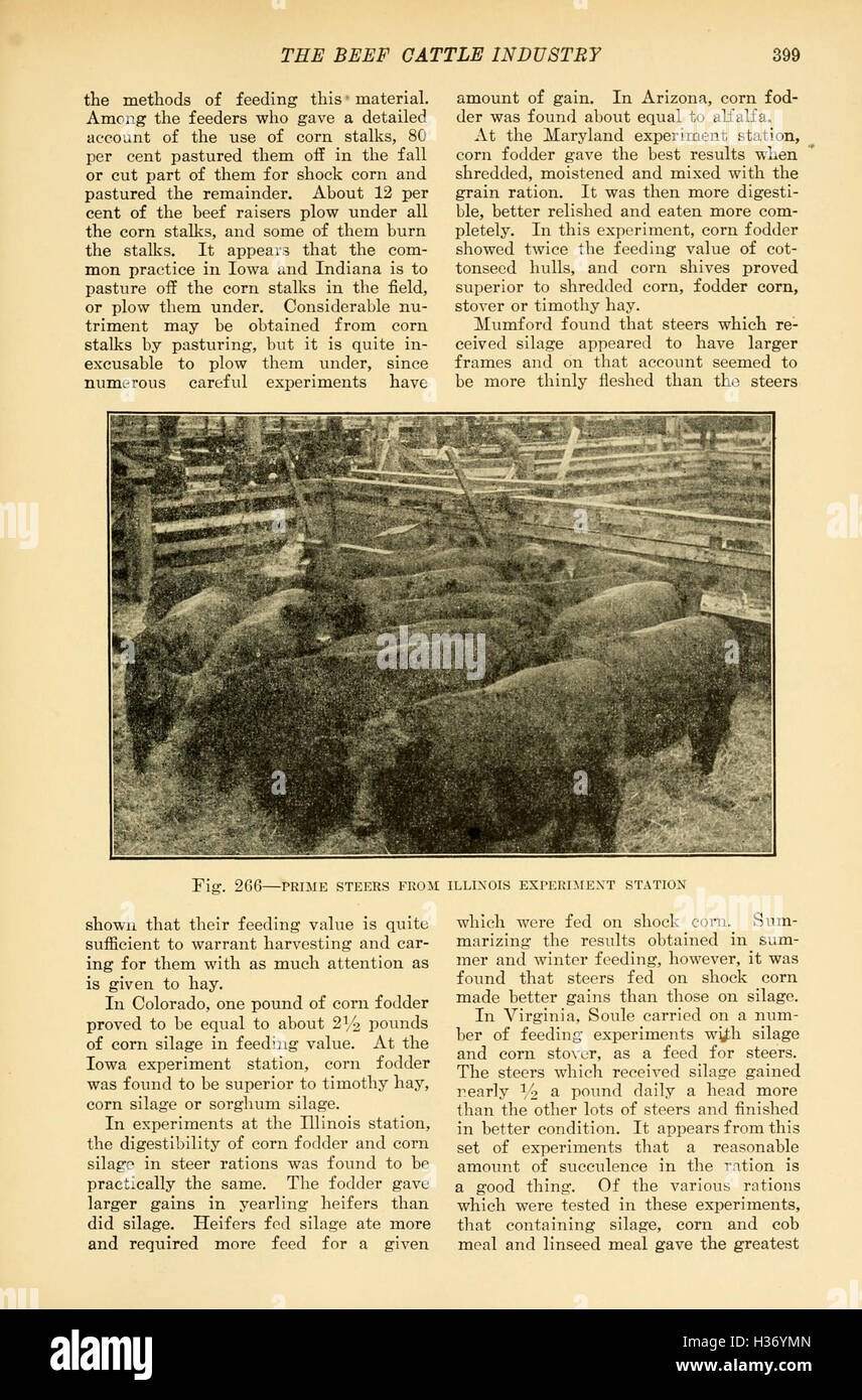 A comprehensive guide to livestock care, including cattle, sheep, pigs ...