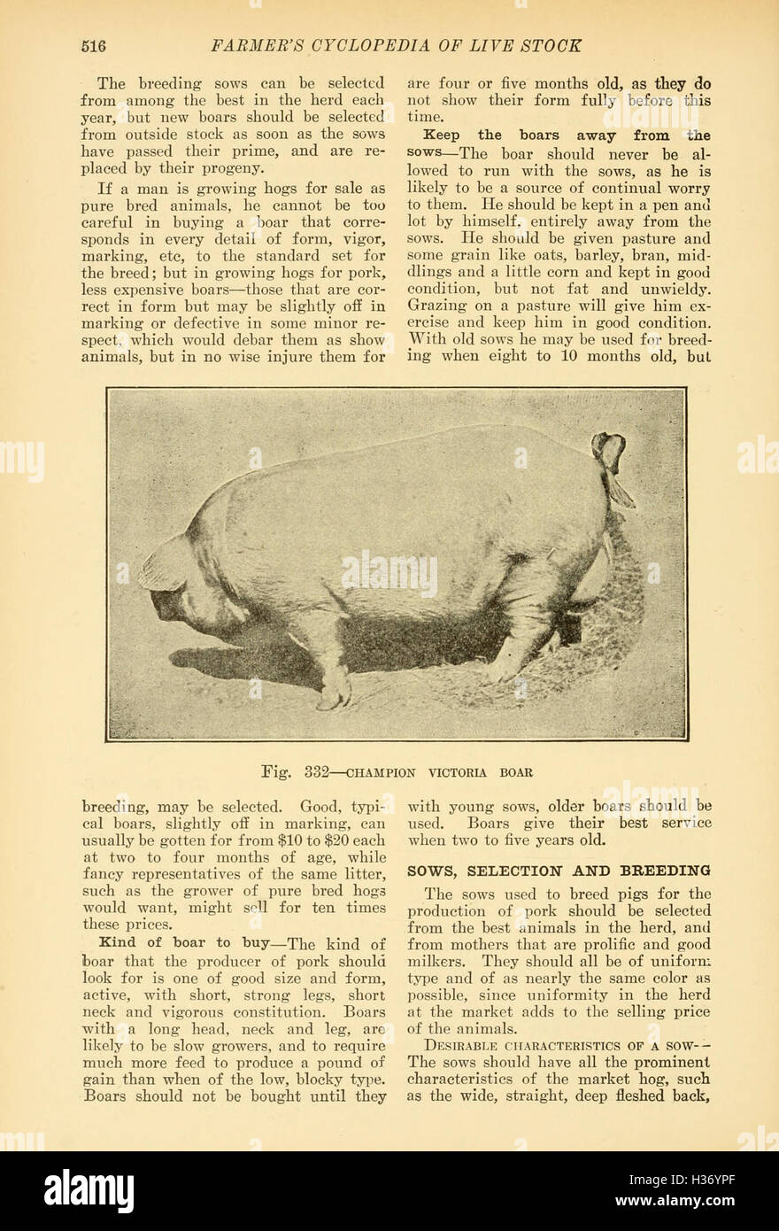 This comprehensive cyclopedia on livestock covers various farm animals ...