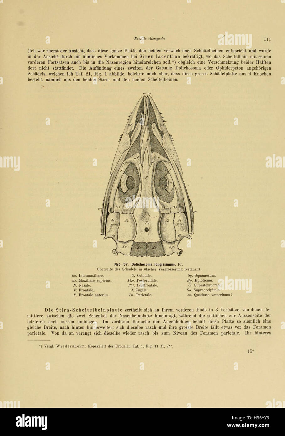 This page studies the fauna of the coal and limestone deposits of the ...