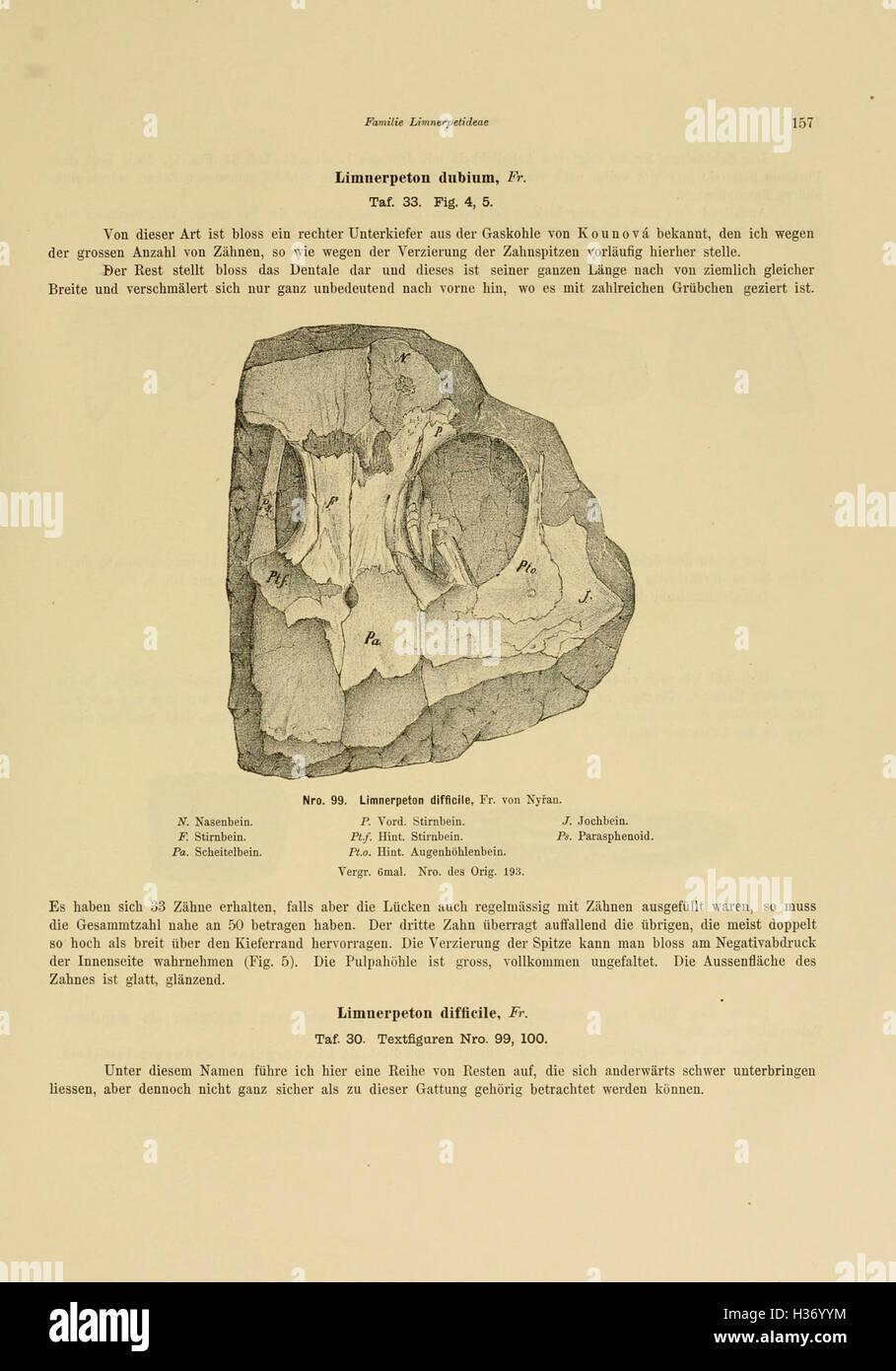 This work examines the fauna associated with the coal and limestone ...
