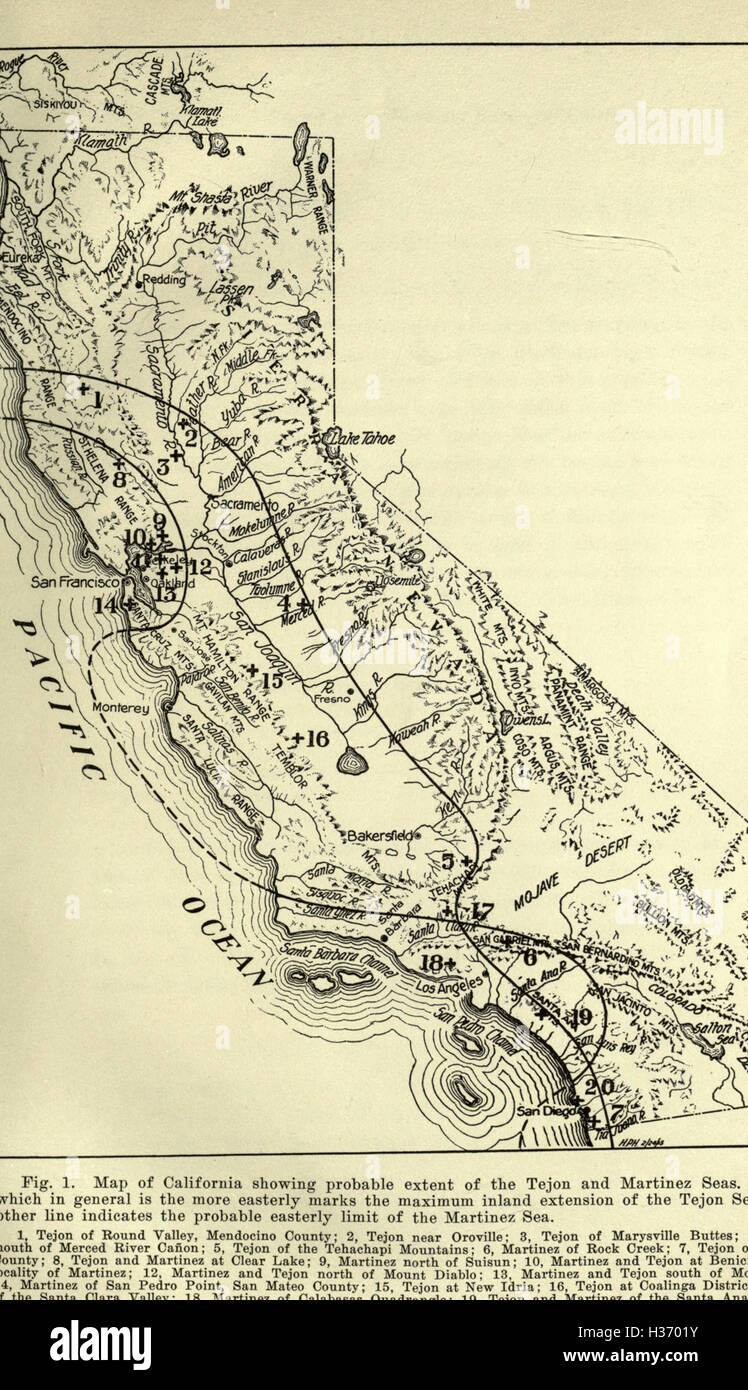 This work details the fauna of the Martinez Eocene in California ...