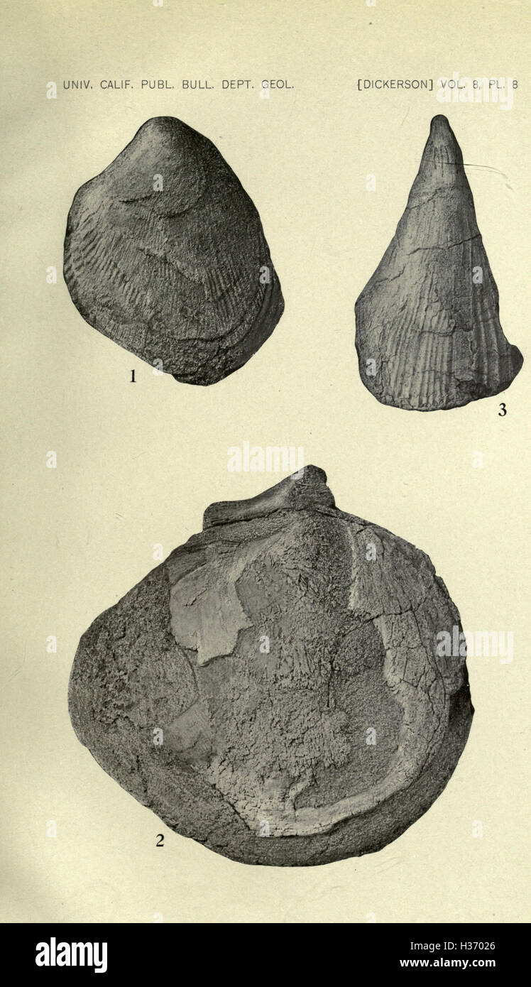 Eocene map hi-res stock photography and images - Alamy