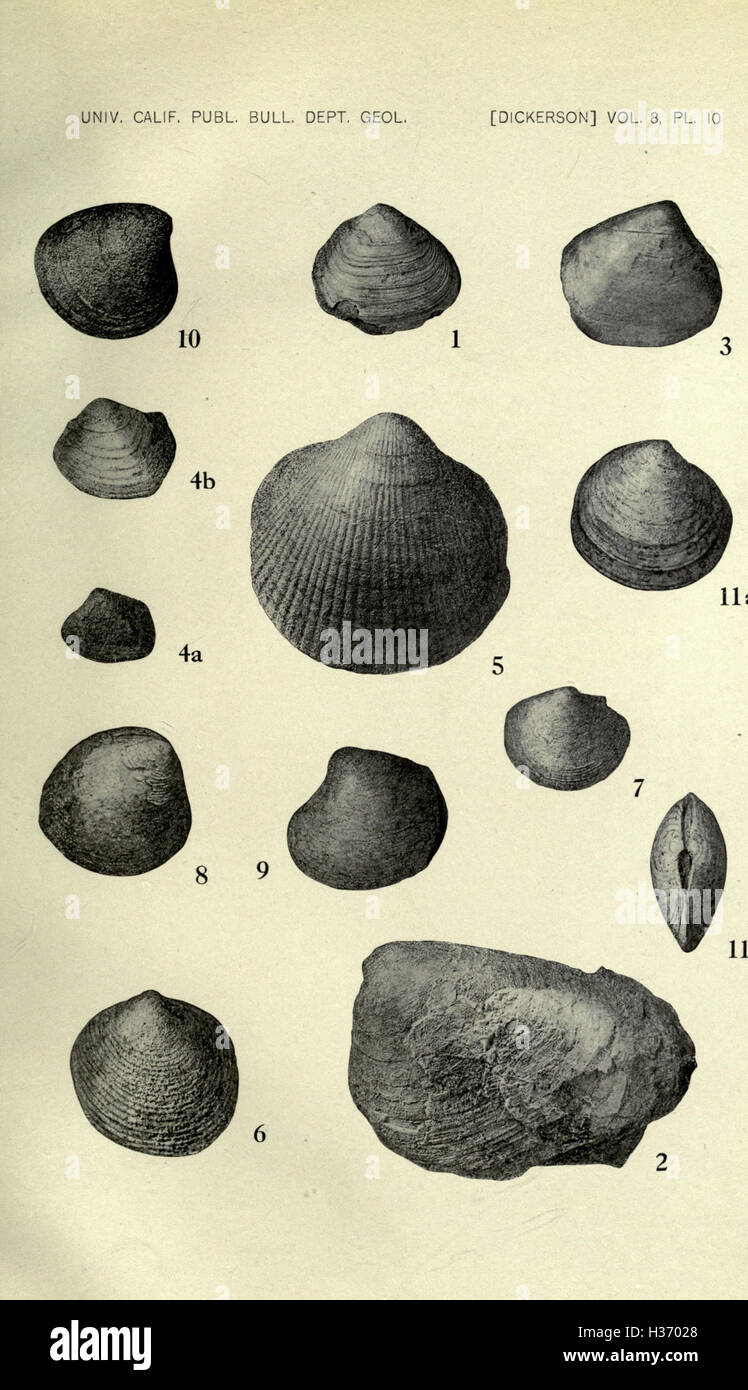 Eocene map hi-res stock photography and images - Alamy