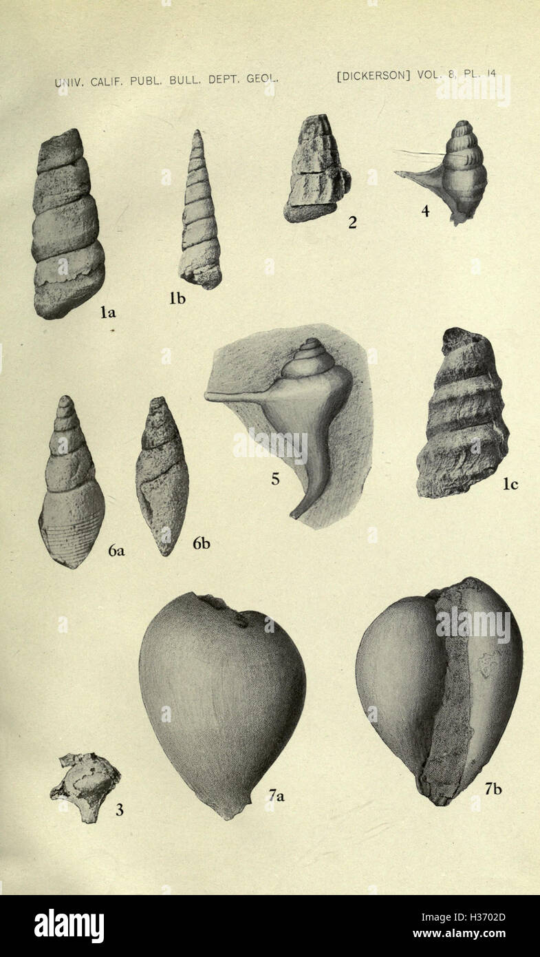 Eocene map hi-res stock photography and images - Alamy