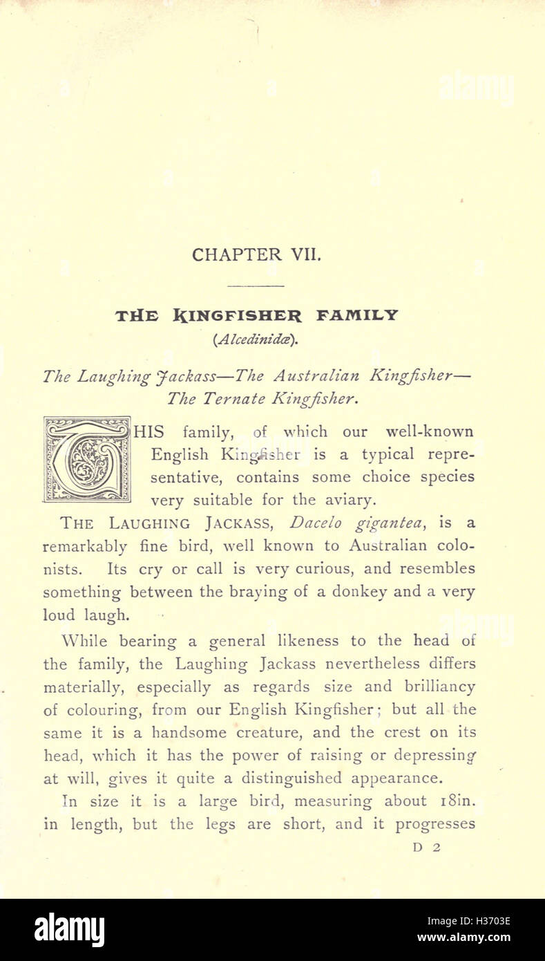 This guide discusses popular exotic bird species suitable for captivity ...