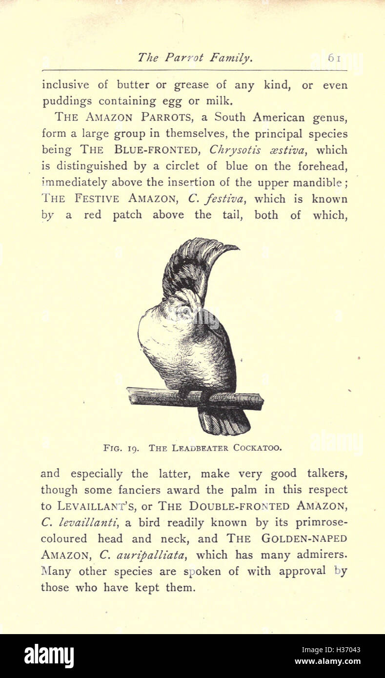 This guide covers the selection and care of popular foreign bird ...