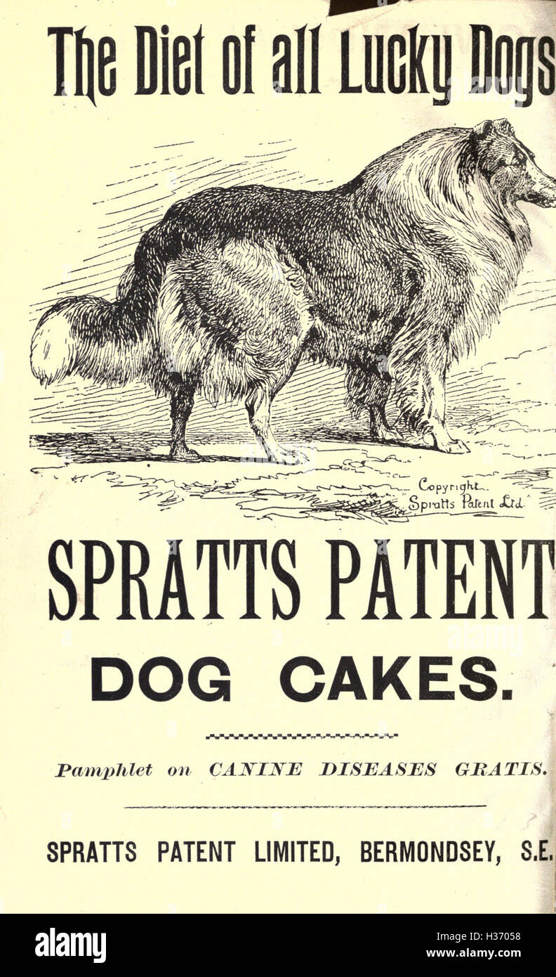 This work provides a guide to popular bird species for keeping in cages ...