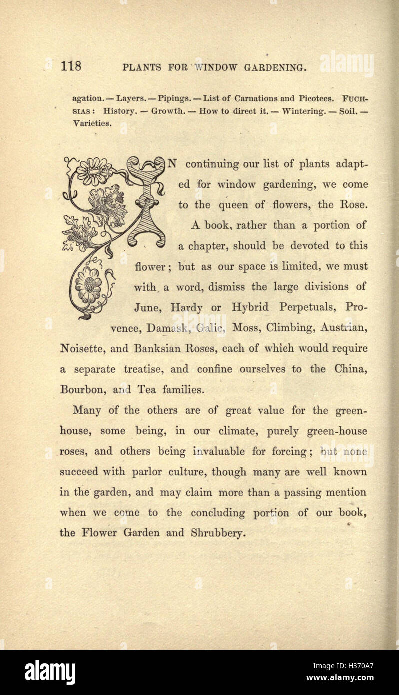 'Flowers for the Parlor and Garden' is a guide to cultivating and ...
