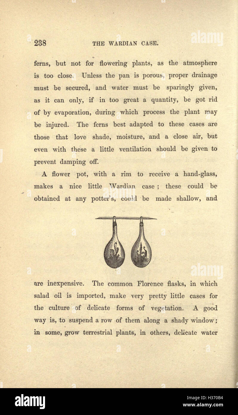 Proper variety selection hi-res stock photography and images - Alamy