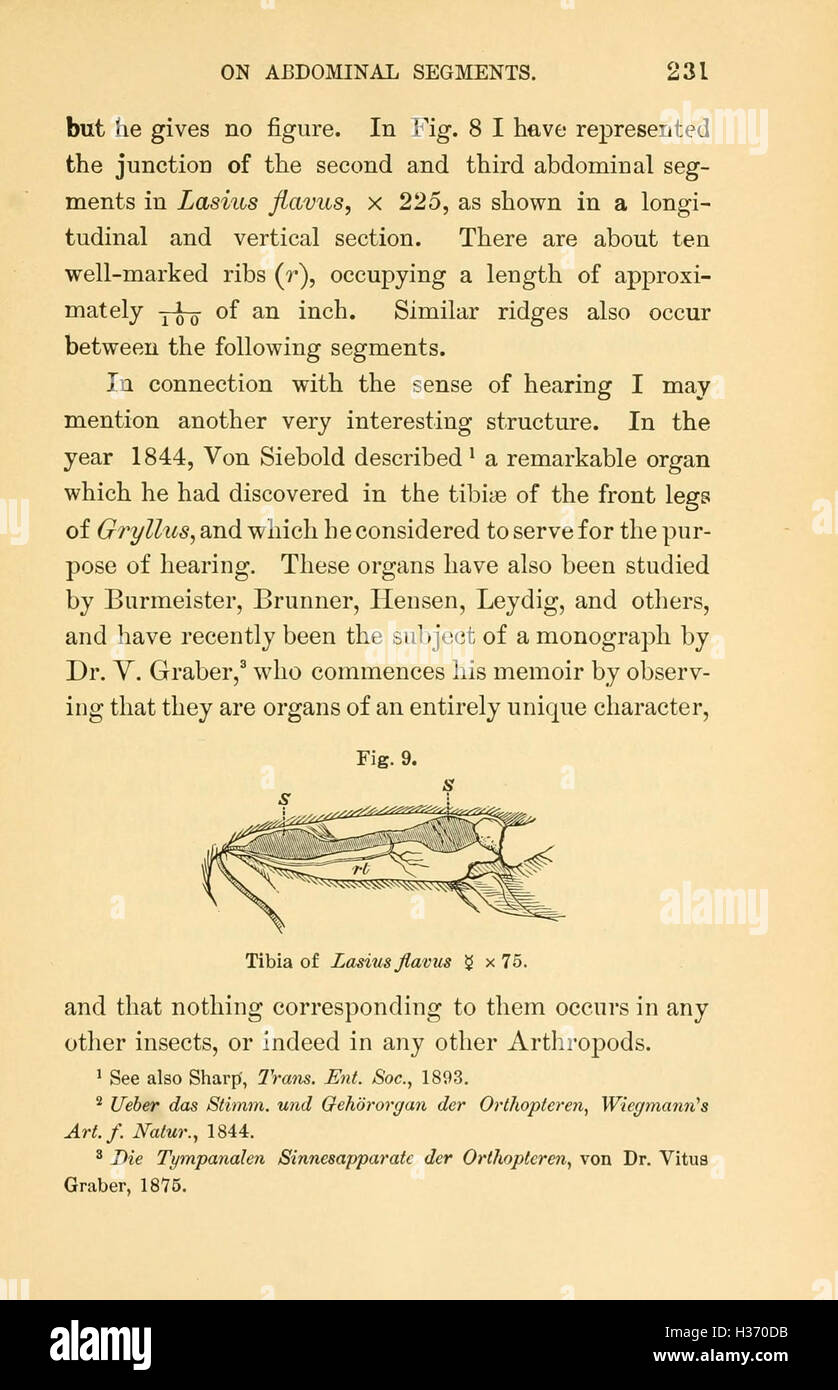 This work covers the biology, behavior, and ecological roles of ants ...