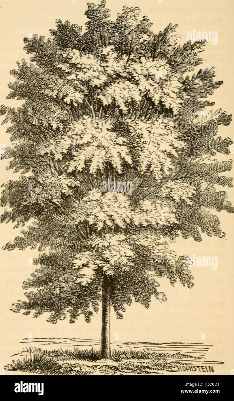 This manual provides guidance on the cultivation, propagation, and ...