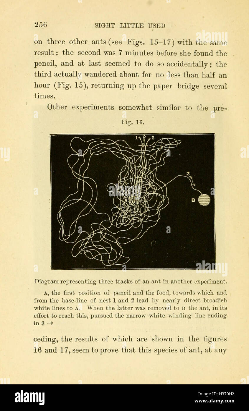 This text explores the biology, behavior, and ecological roles of ants ...