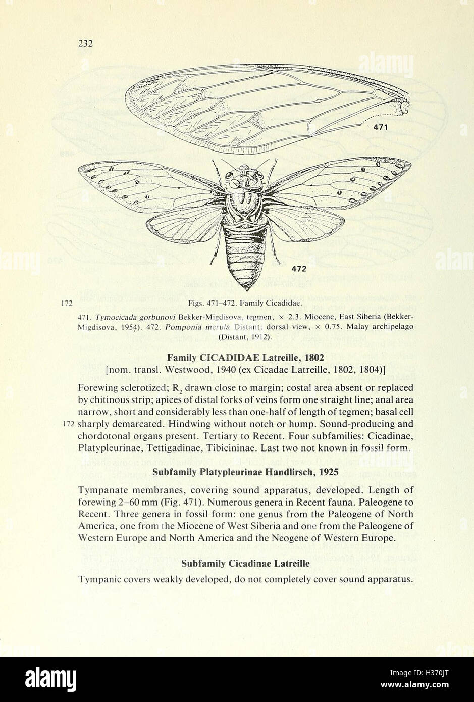 This book outlines the key principles and methods in paleontology ...