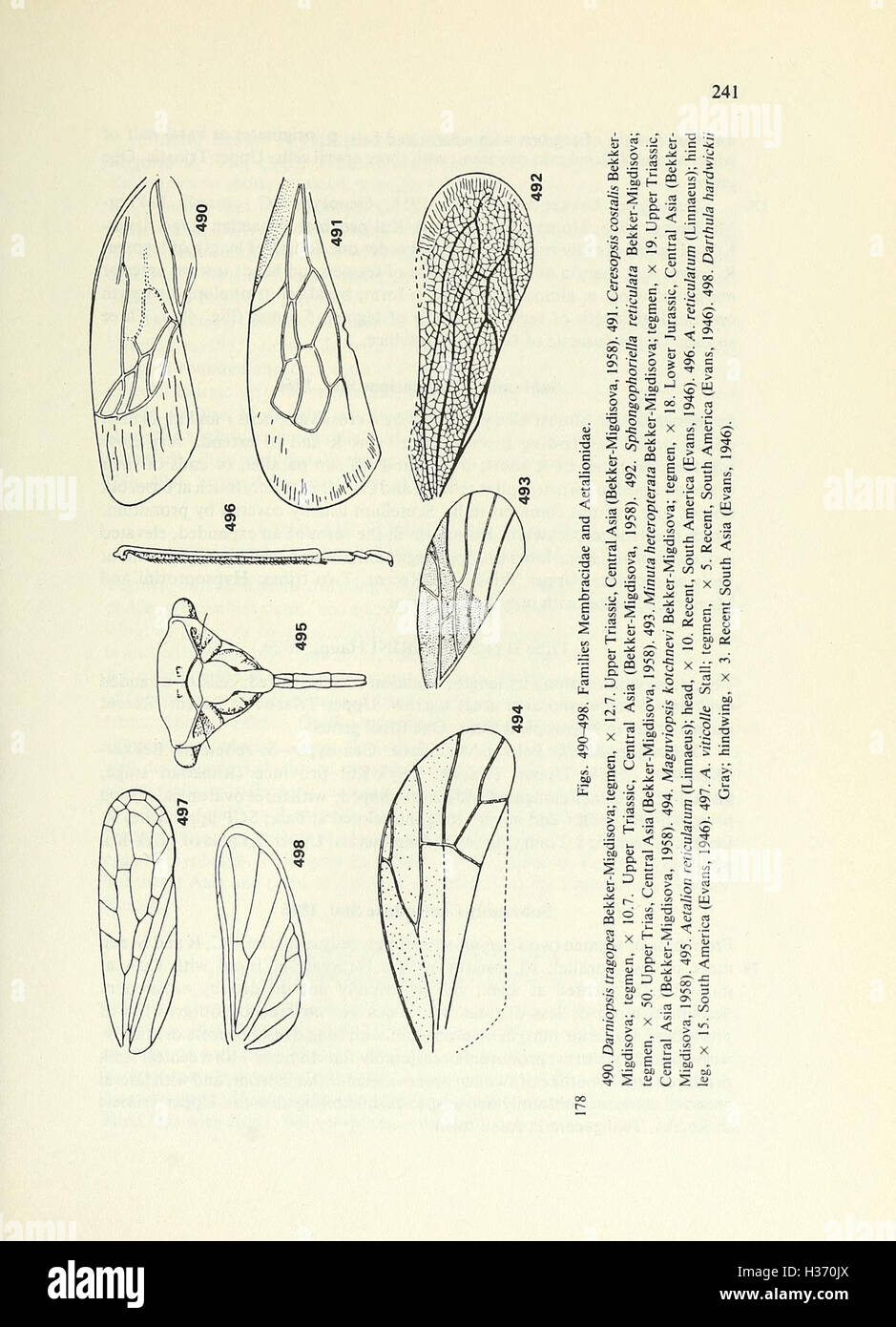 This page provides an introduction to paleontology, covering basic ...