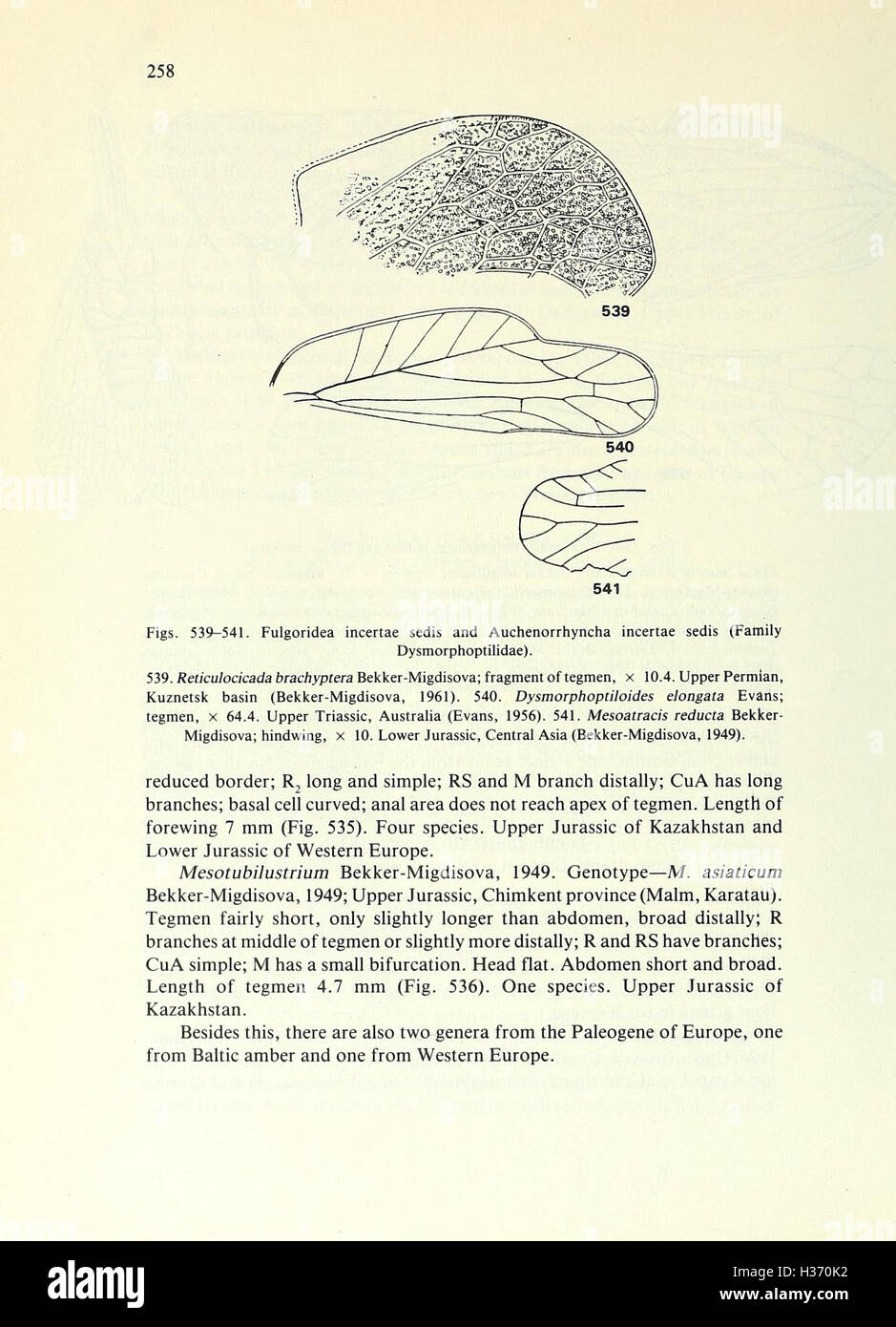 This textbook introduces the foundational principles of paleontology ...