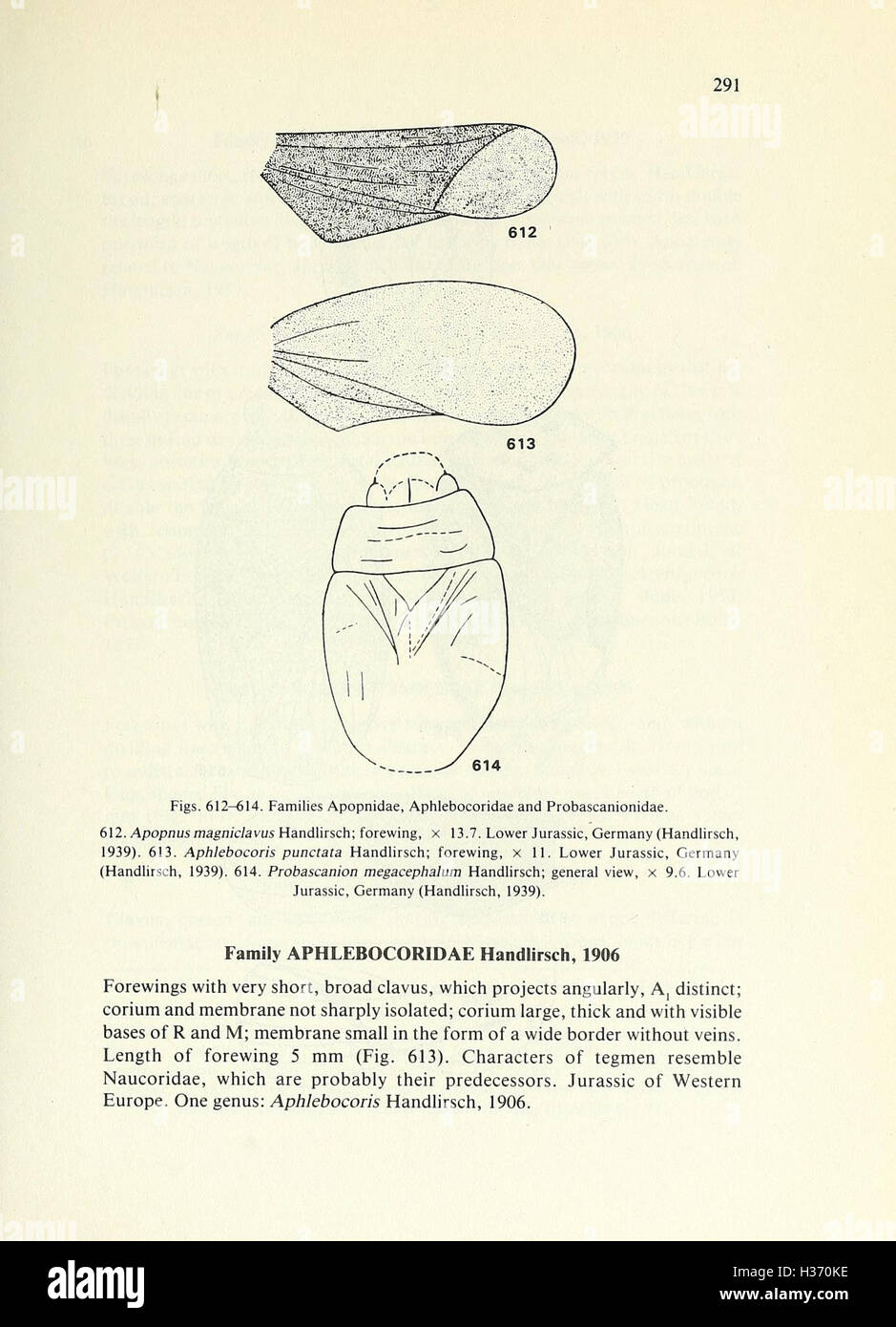 This text offers an introduction to the fundamentals of paleontology ...