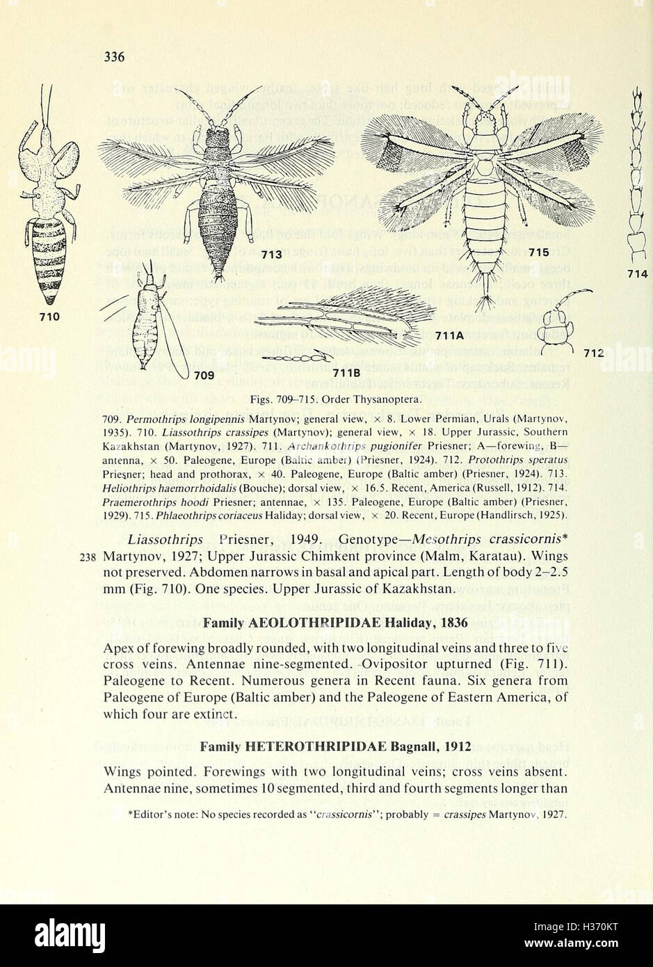 This work provides an introductory overview of paleontology, focusing ...