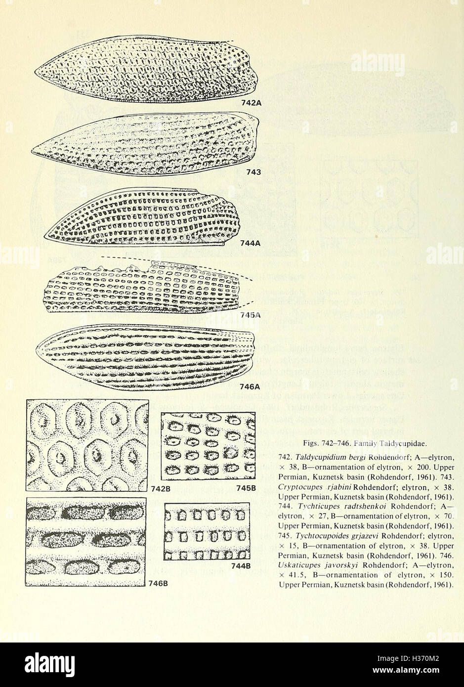 This page provides an introduction to the fundamentals of paleontology ...