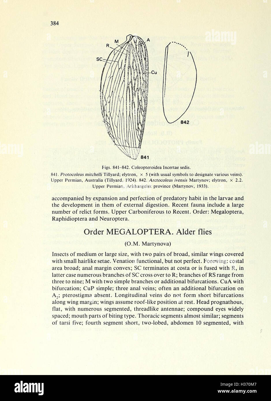 An introduction to paleontology, covering the basic principles of ...