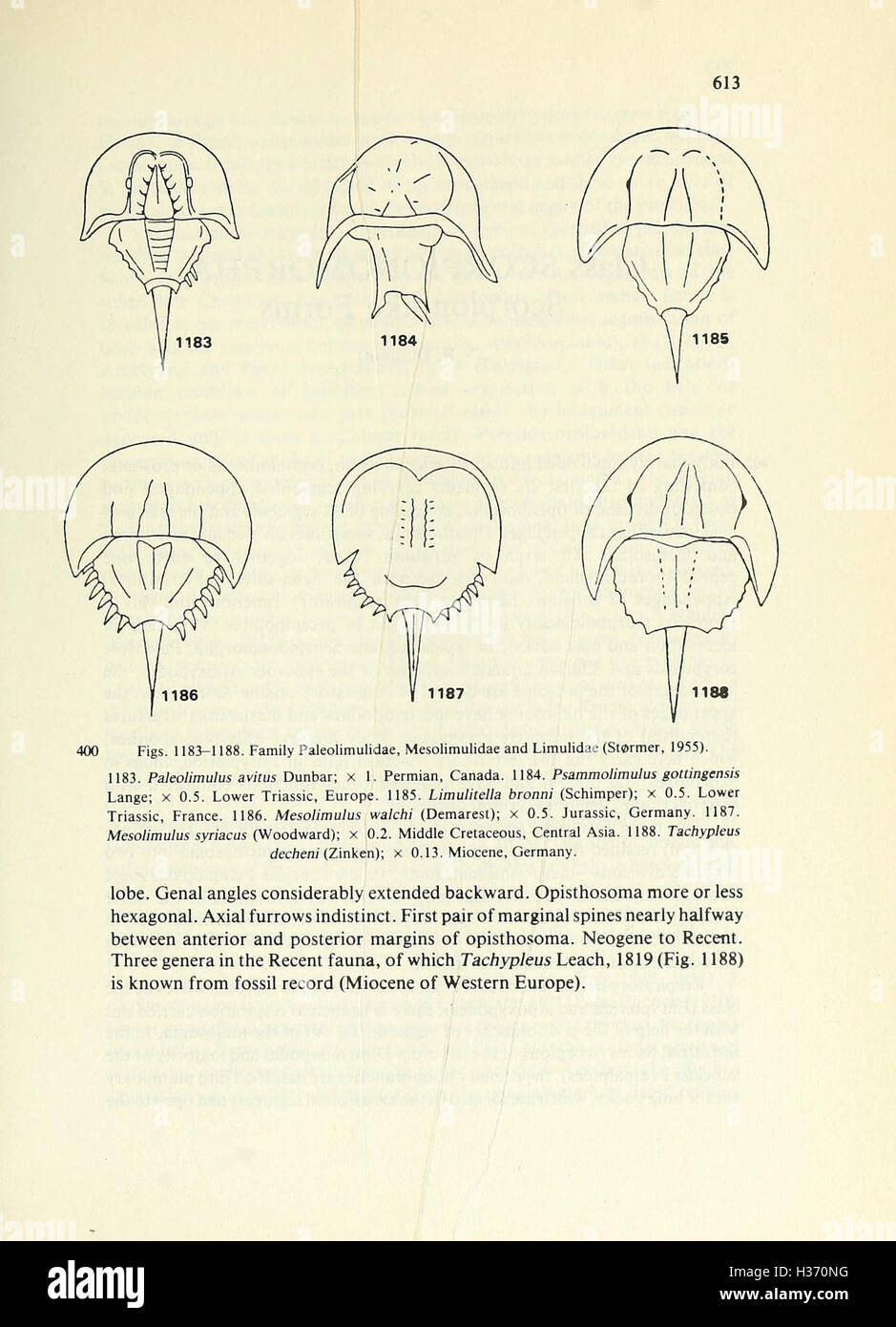 This textbook provides a comprehensive introduction to paleontology ...