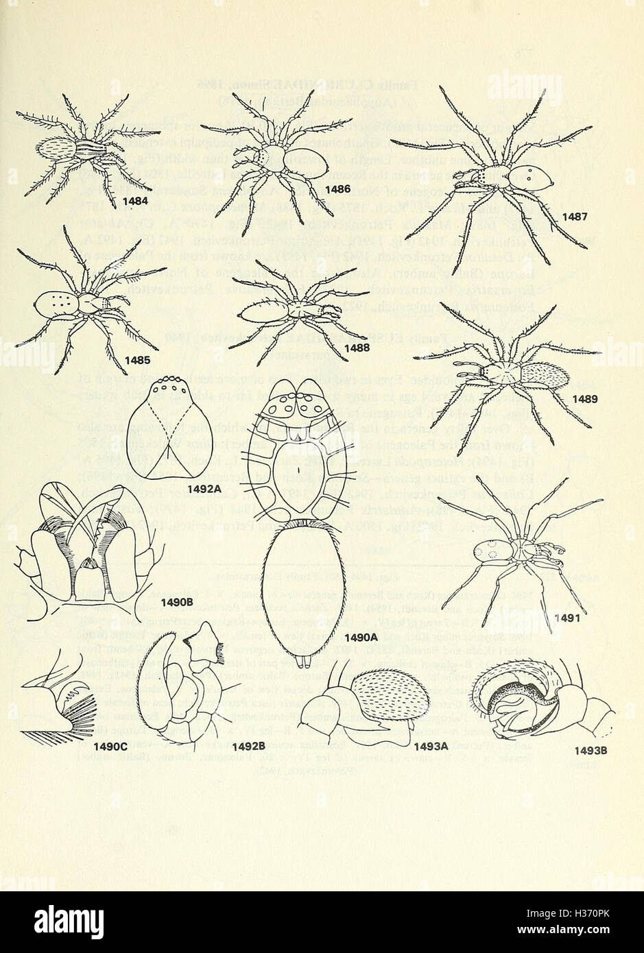 This text provides an introduction to paleontology, covering essential ...